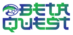 Beta Quest 2024 Information | Coscove