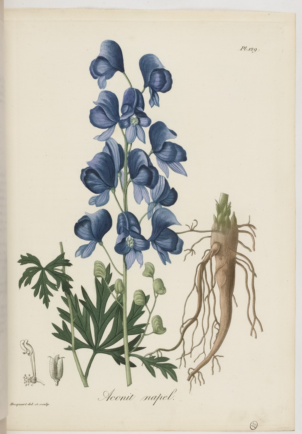 Wolf's Bane: Spiritual and Scientific Data