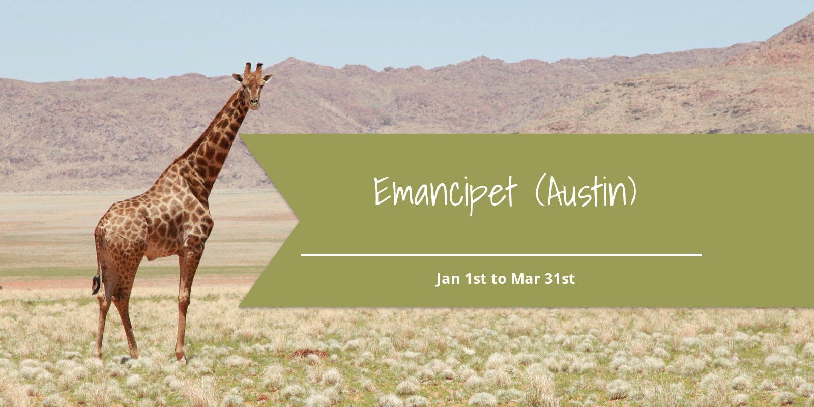Emancipet (Austin)