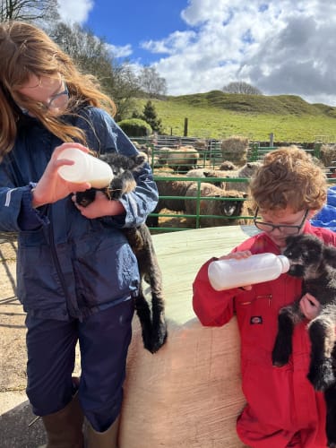 Bernards Farm | Places to Visit | Countryside Classroom