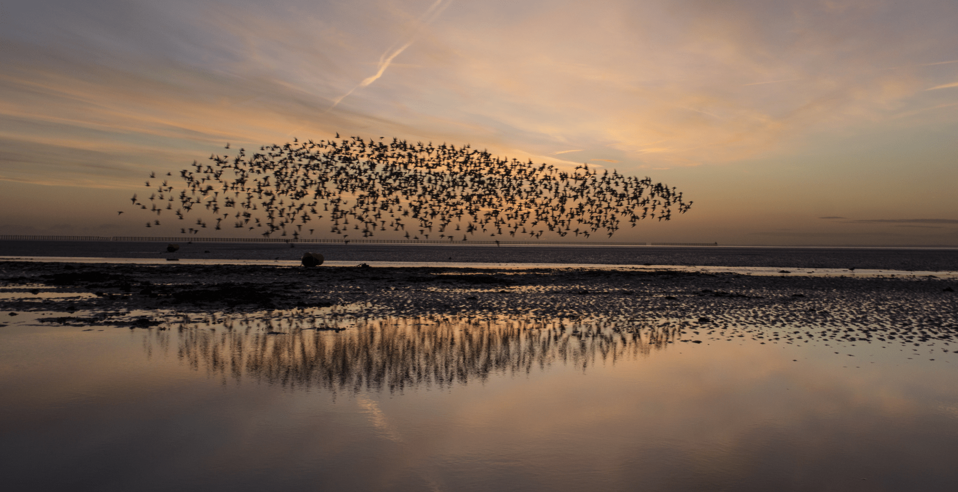 Creative Estuary | Thames Estuary Development Conference