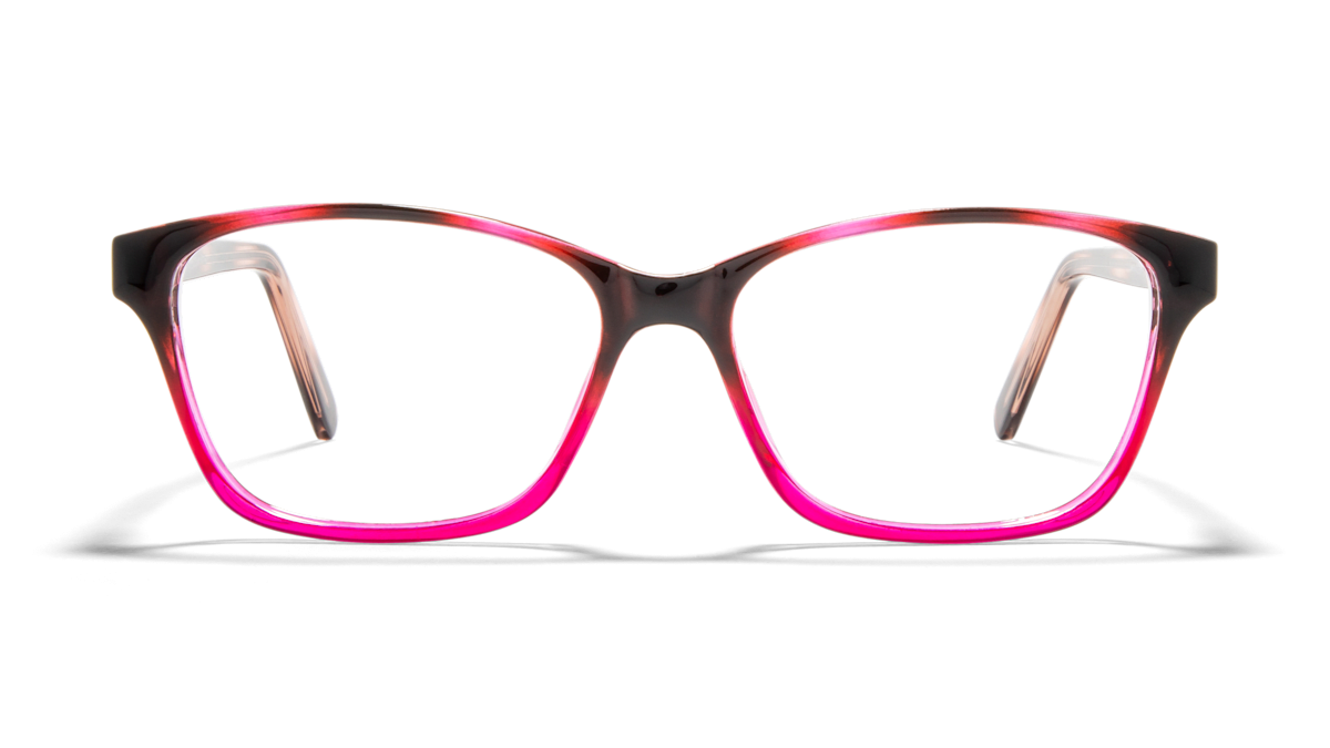 Lodi Eyeglasses | The Framery