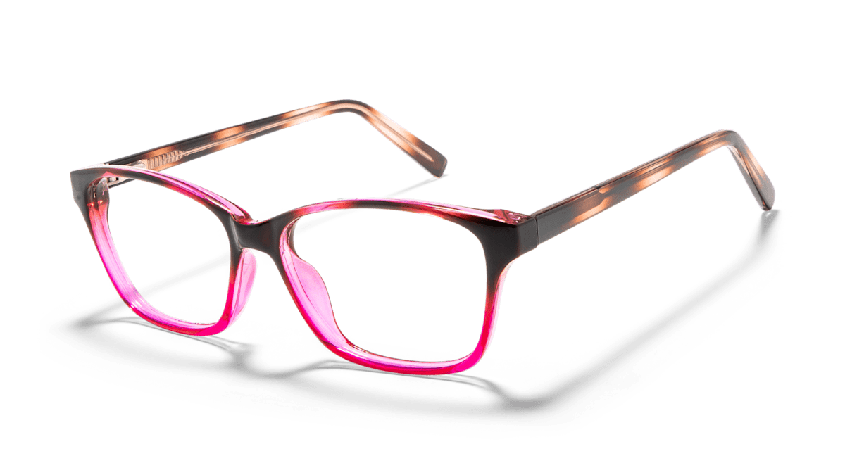 Lodi Eyeglasses | The Framery