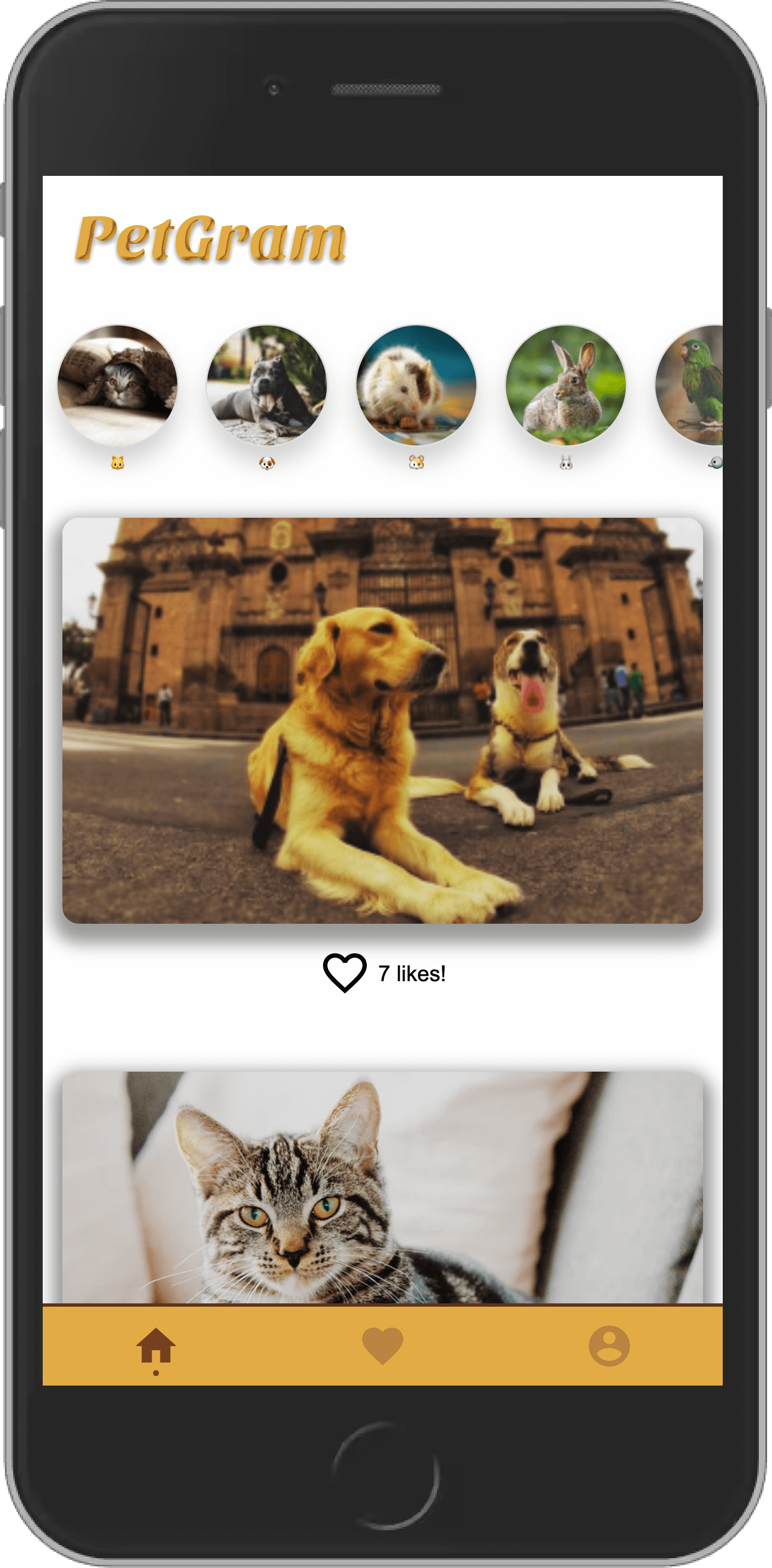 GitHub - cristianblar/petgram_project: An instagram for pets (Mobile Web App, 100% PWA, made ...