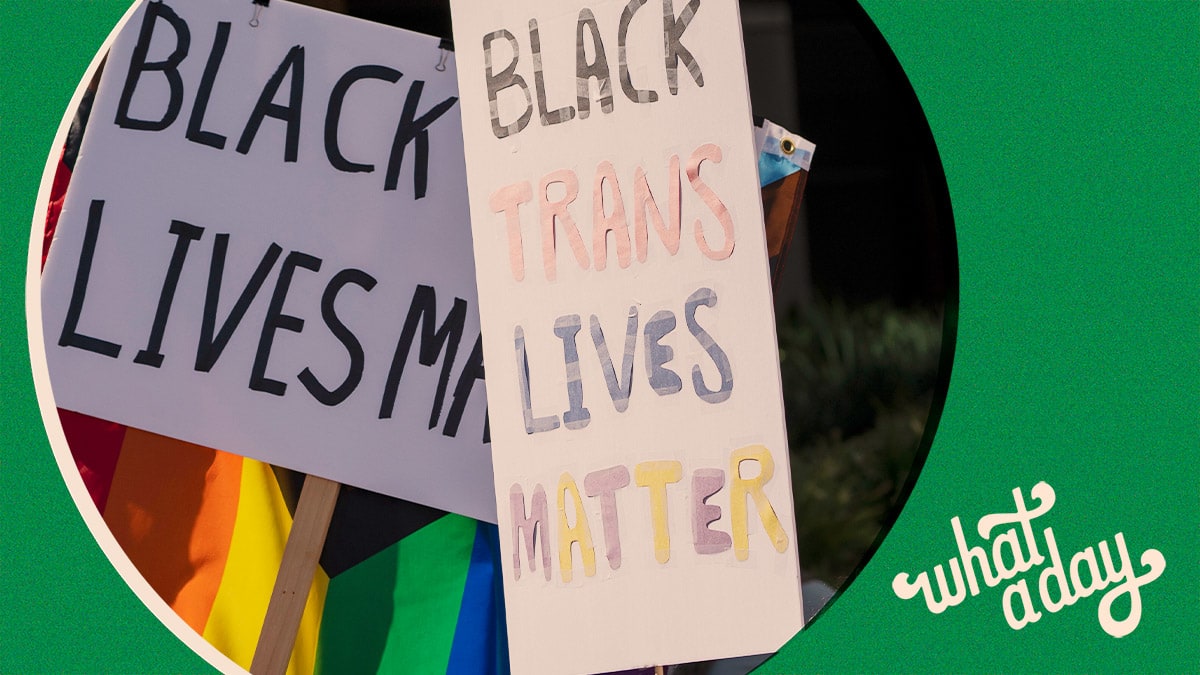 WAD We Covered In 2021 | Crooked Media