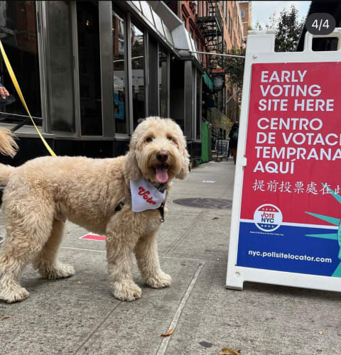 Vote Save America 2022 Midterms Impact Report - Vote Save America