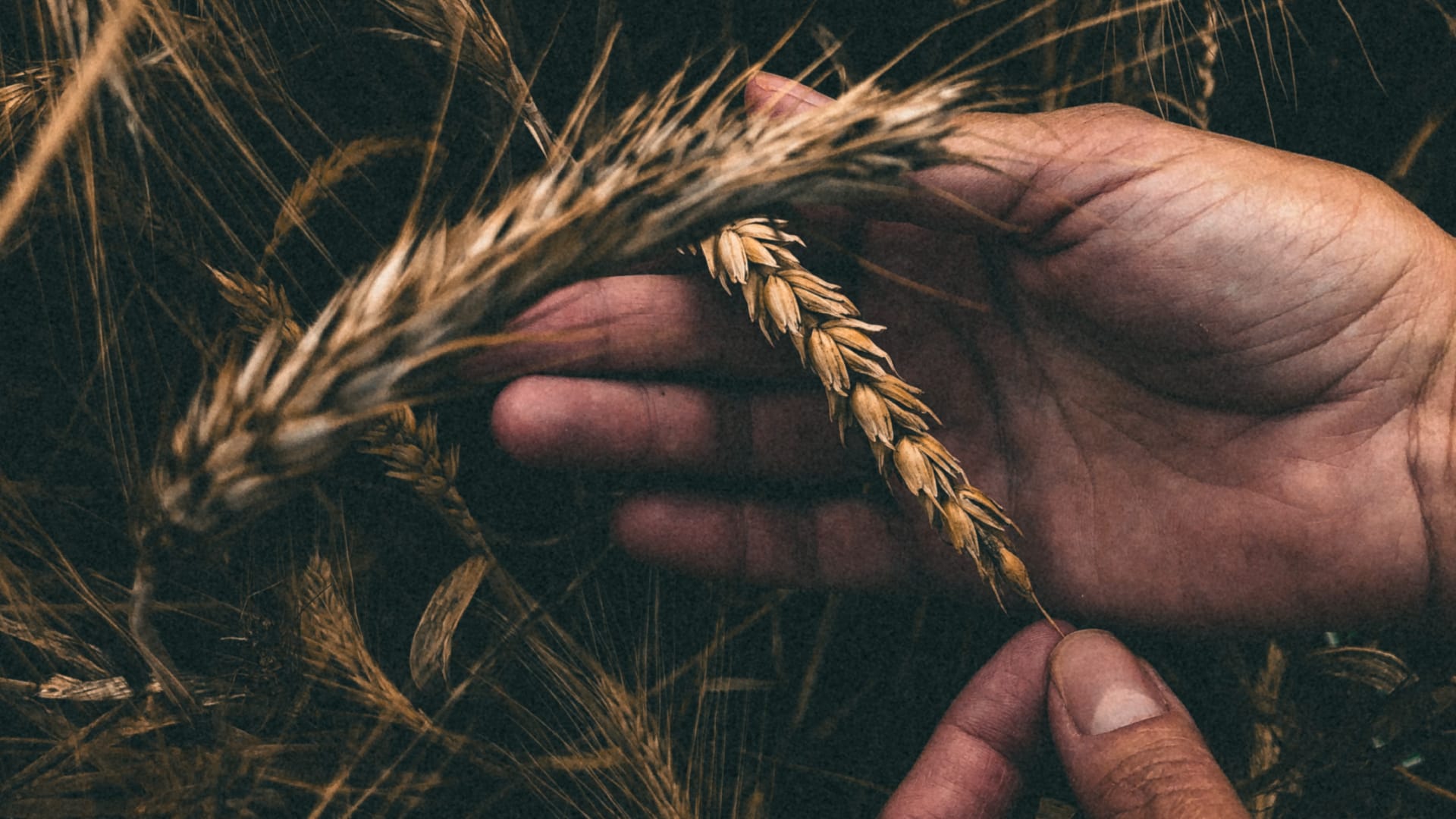 Laboring in Love with Purpose | Crossings Church