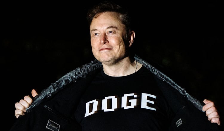 News Why DOGE Failed | CrowdBlue