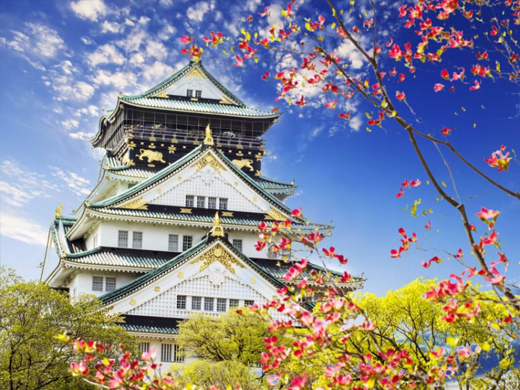 Cruise naar Azië | Zeetours Cruises