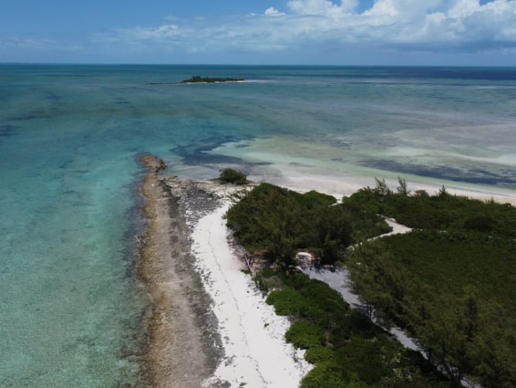 Cruceros desde Castaway Cay (isla privada de Disney, Bahamas)