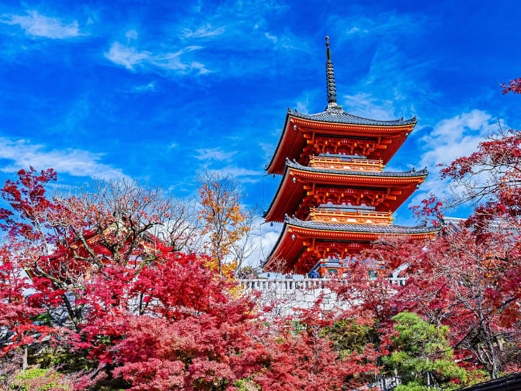 Volta ao mundo Cruzeiro com Volendam da companhia de cruzeiros Holland ...