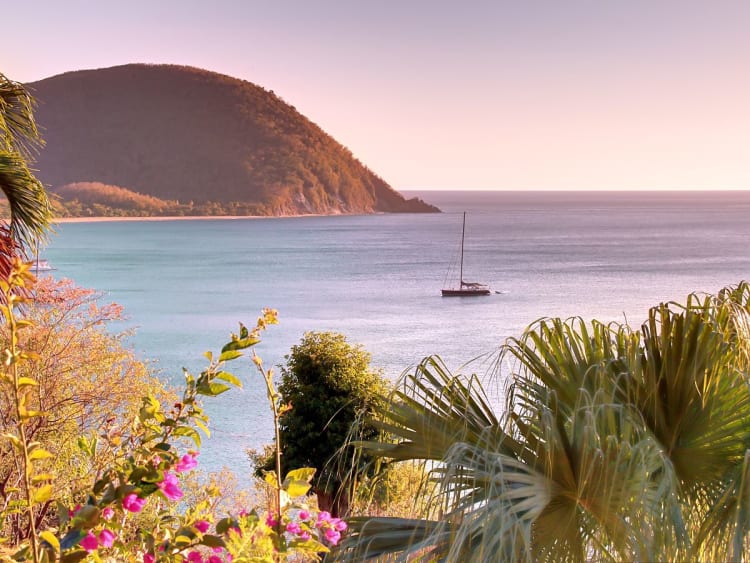 Pointe-à-Pitre (Guadeloupe) cruises - Alle Informatie en aanbiedingen ...