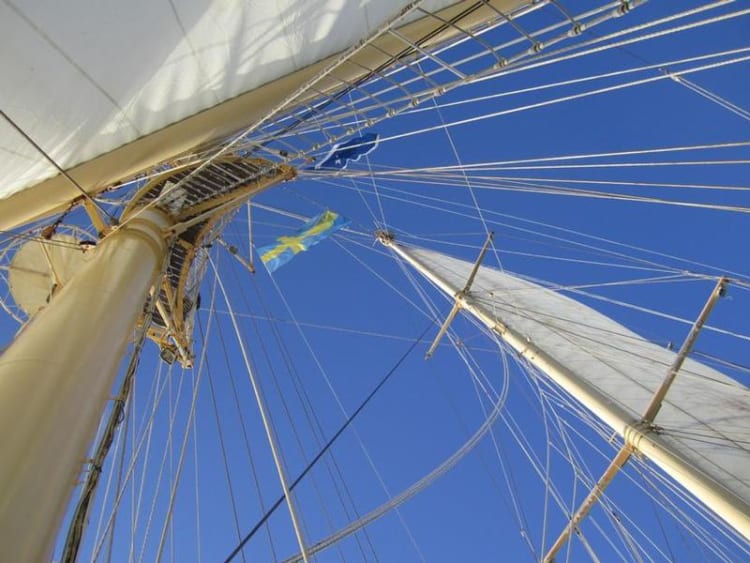 Star Flyer - Informatie en alle aanbiedingen | Cruise Travel