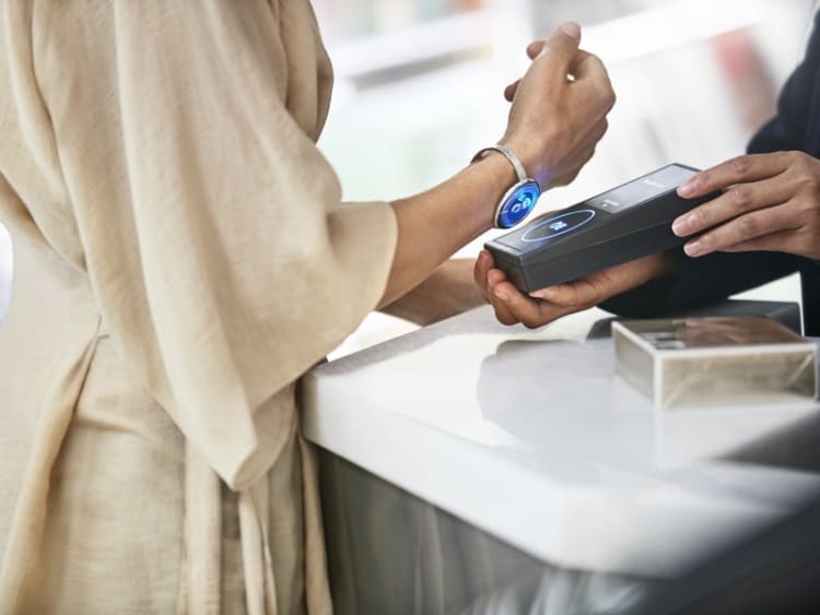 Neuseeland Kreuzfahrt mit der Discovery Princess der Reederei Princess ...