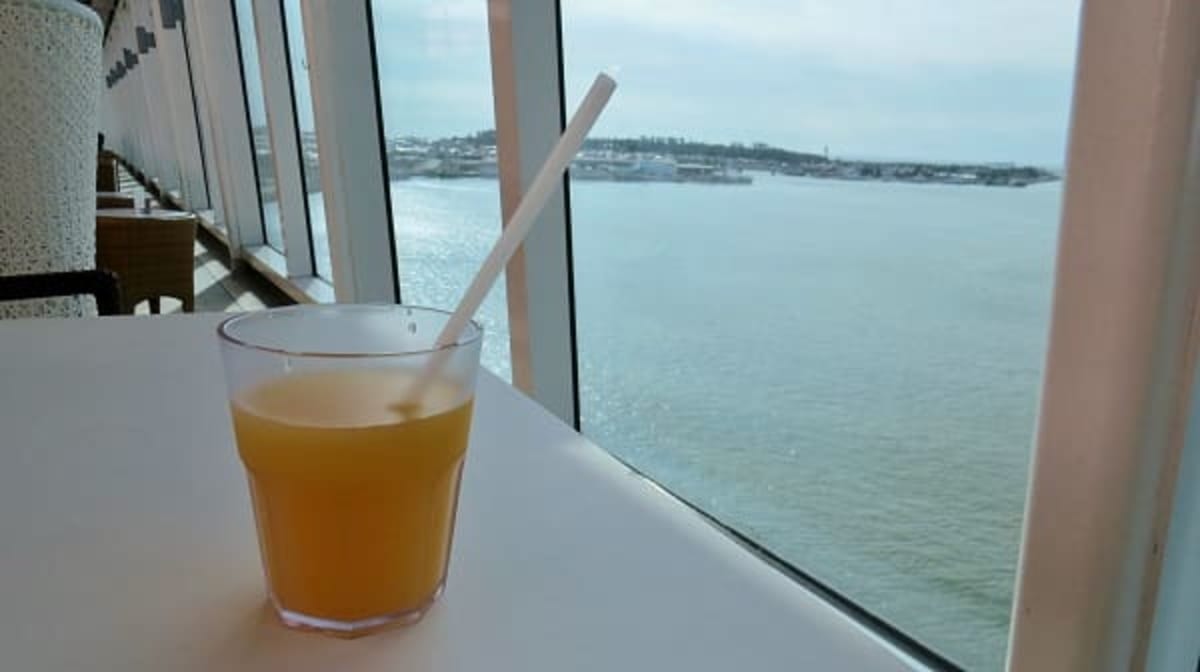 MS. KOFUNEのクルーズ乗船記 | Cruisemans