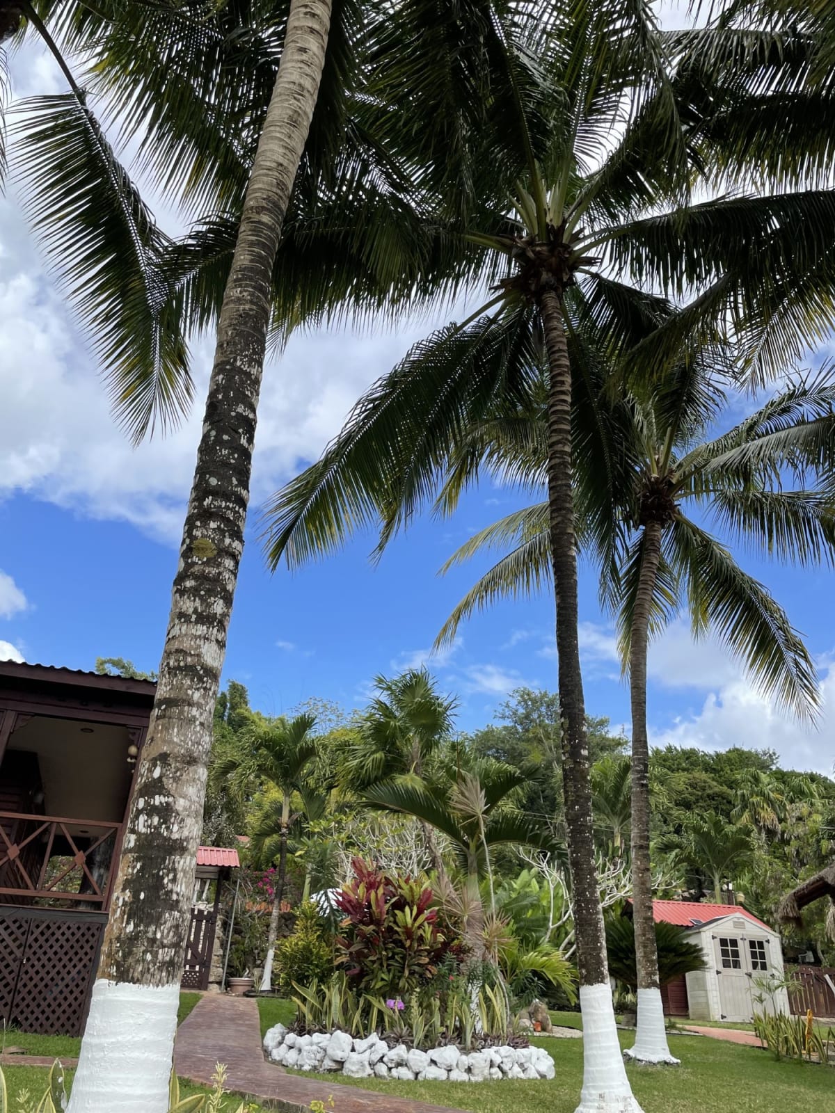 MS. BLOOMのクルーズ乗船記 | Cruisemans