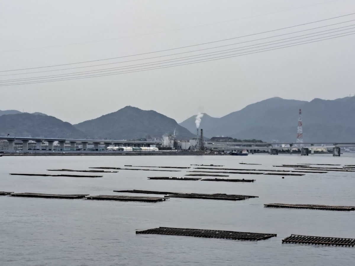 ダイヤモンド・プリンセスの日本発着クルーズ乗船記（2025年5月） | ms. earl_grey