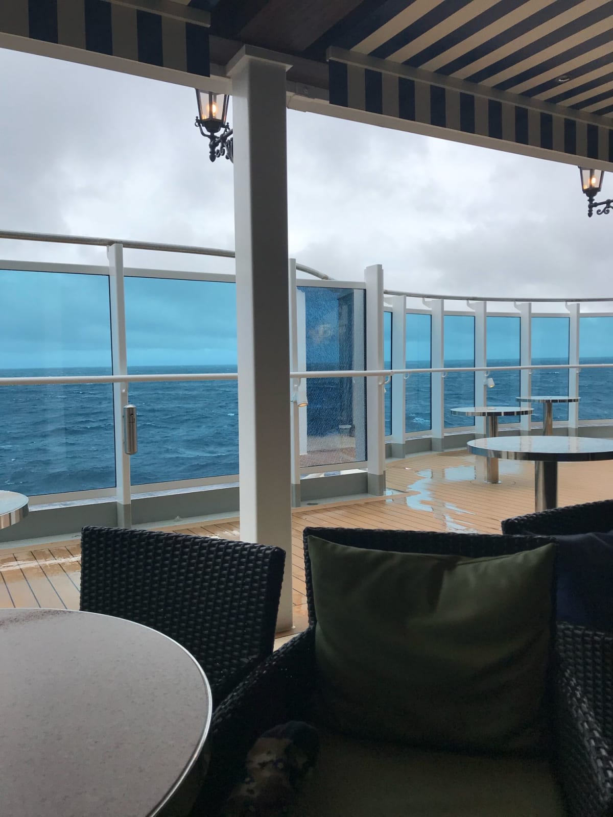 MS. GONMAM1228のクルーズ乗船記 | Cruisemans