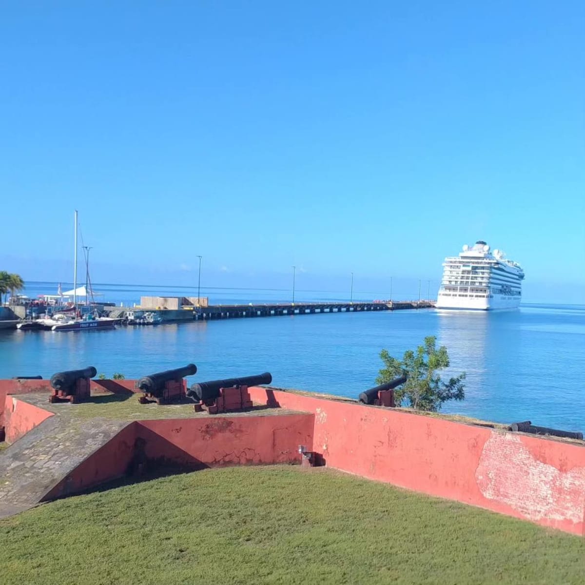 MS. MITのクルーズ乗船記 | Cruisemans