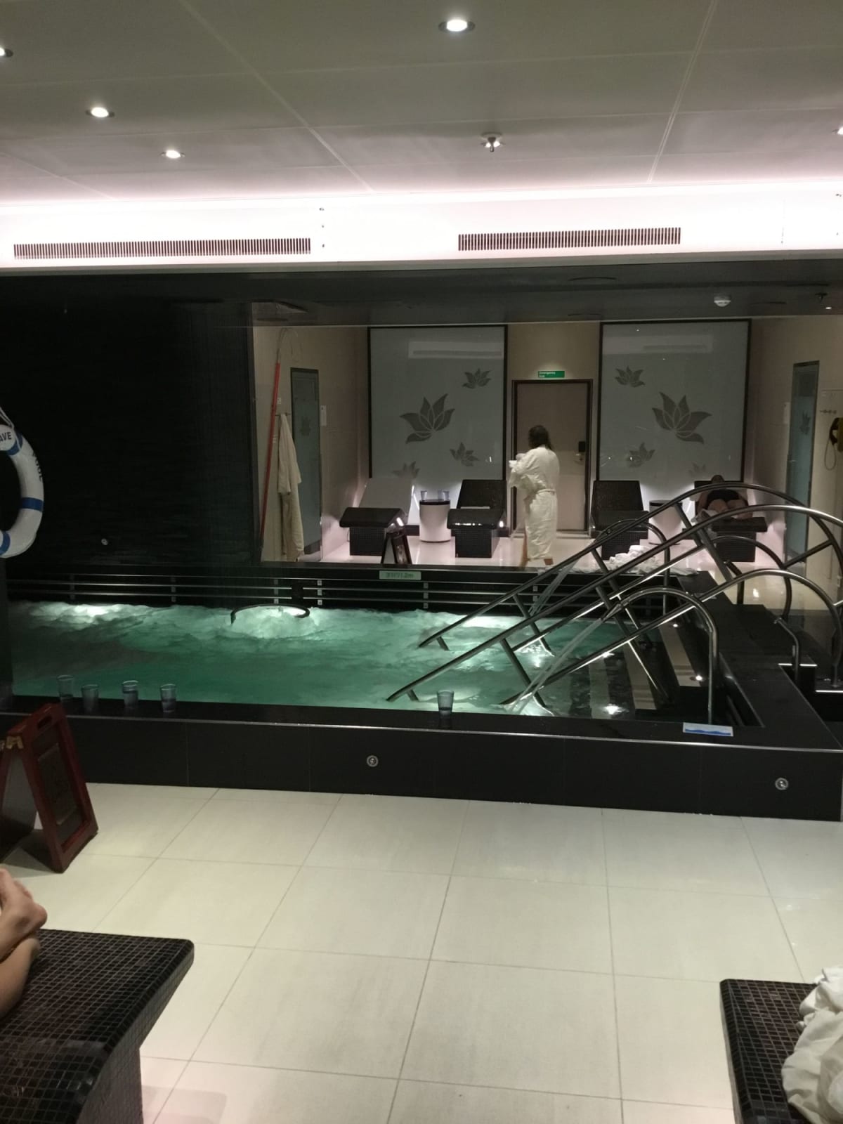 MS. BLOOMのクルーズ乗船記 | Cruisemans