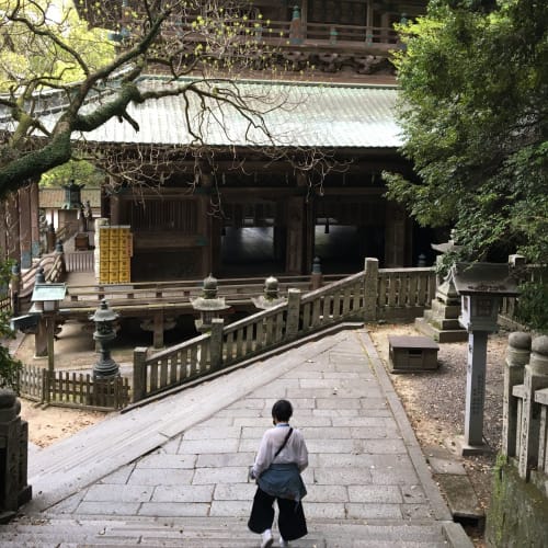 MS. BLOOMのクルーズ乗船記 | Cruisemans