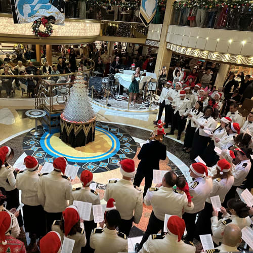 MS. BLOOMのクルーズ乗船記 | Cruisemans