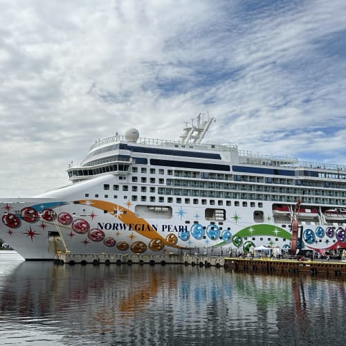 MS. BLOOMのクルーズ乗船記 | Cruisemans