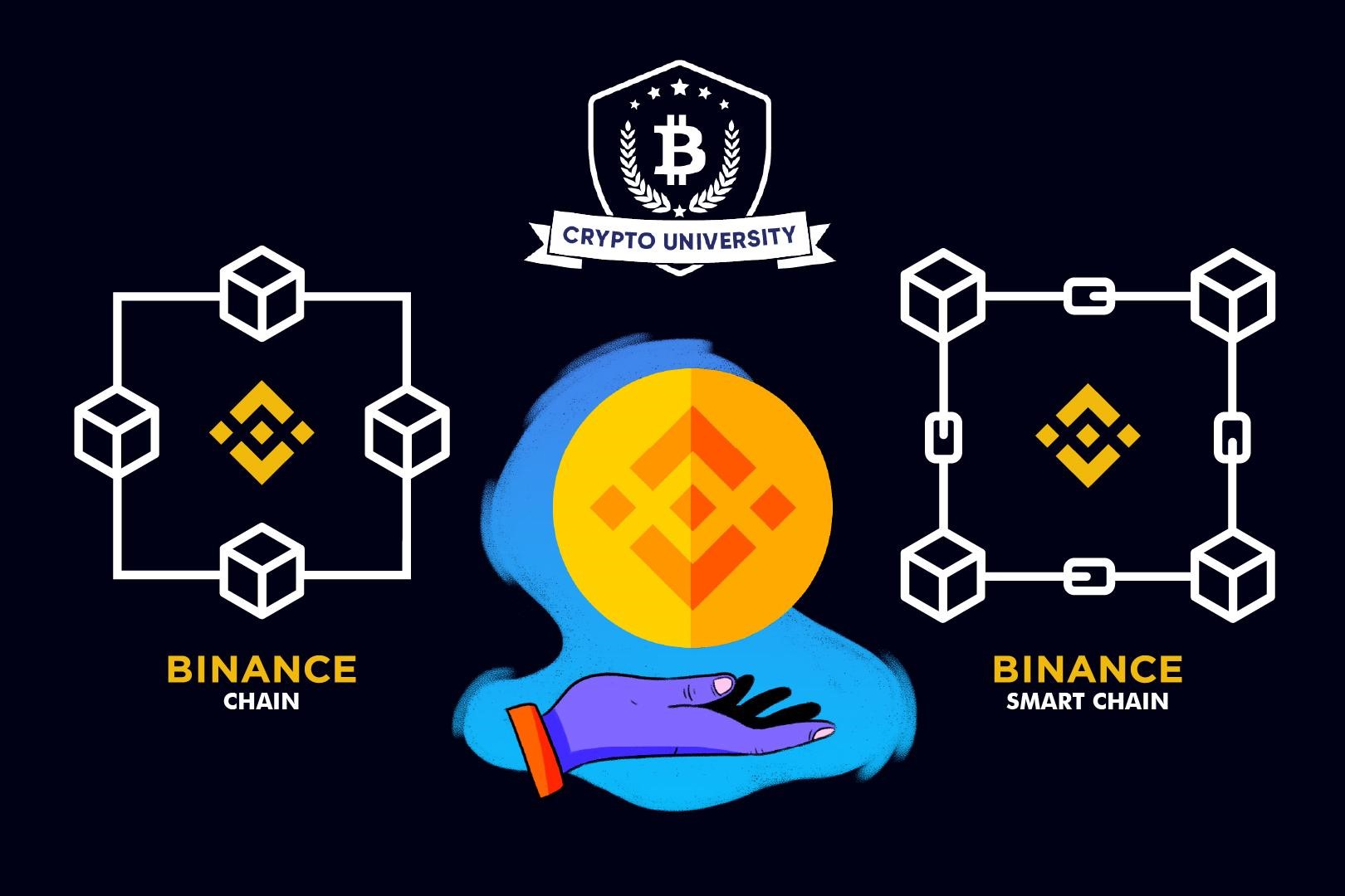 Binance Chain & Binance Smart Chain | Crypto University
