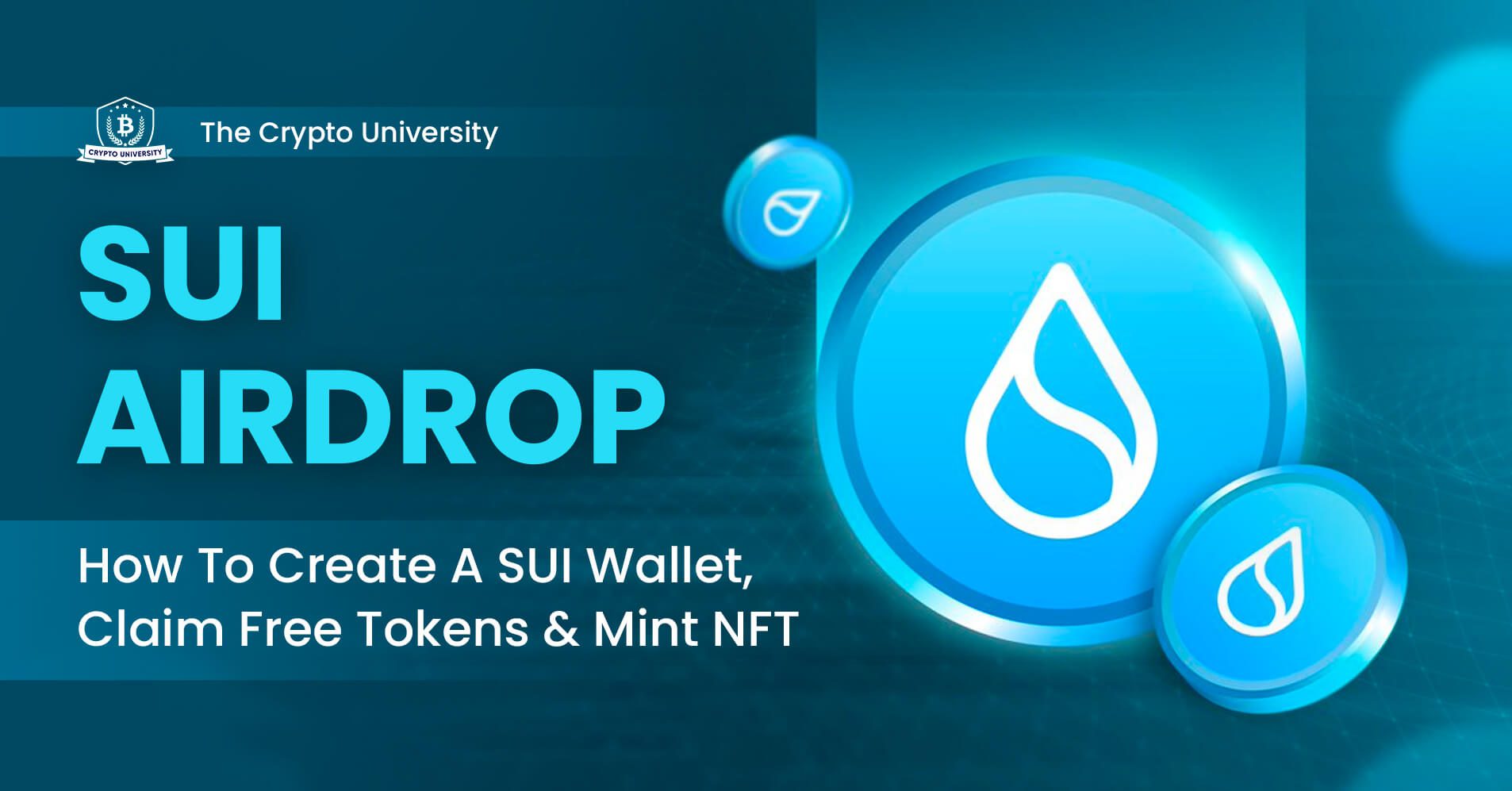 SUI Airdrop: How To Create A SUI Wallet, Claim Free Tokens & Mint NFT | Crypto University