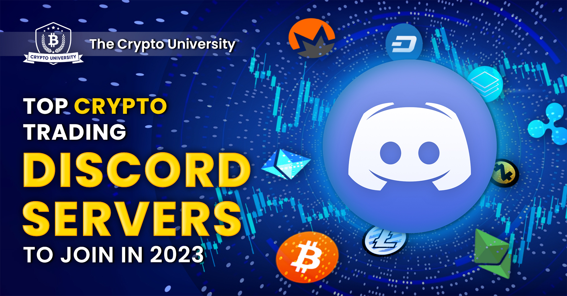 The Best Crypto Trading Discords To Join In 2023 | Crypto University