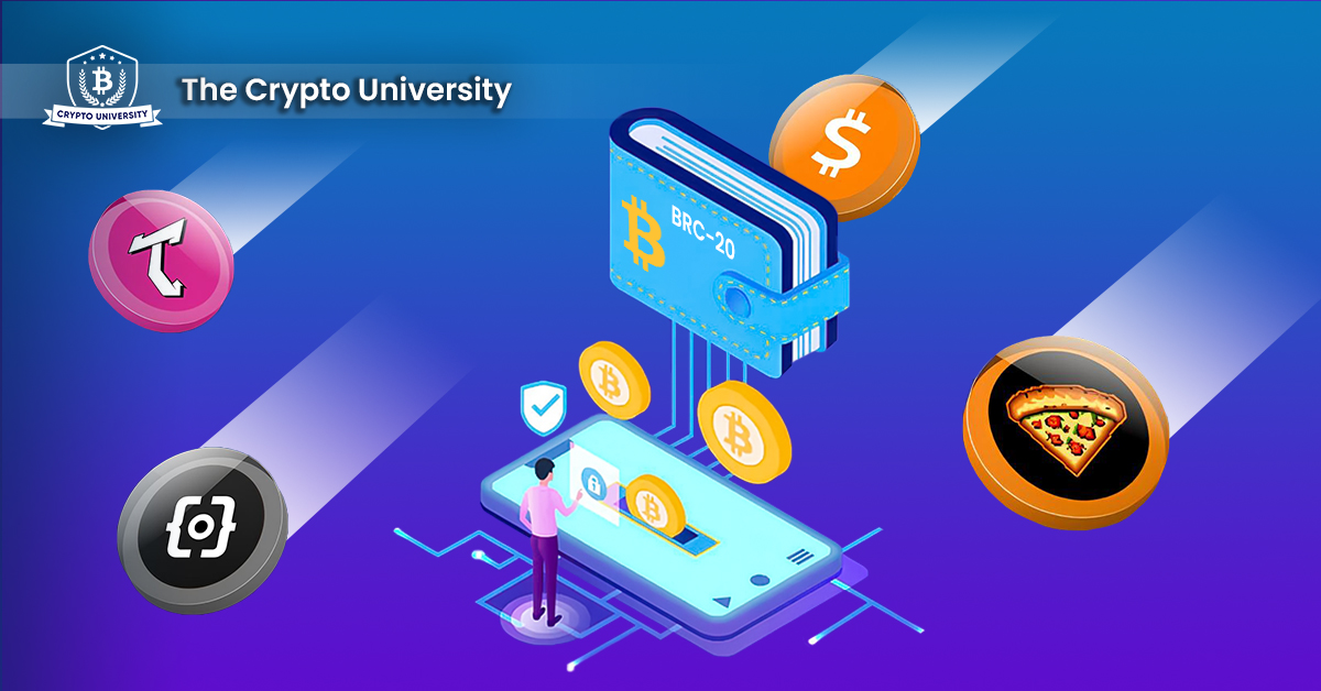 Top Wallets For BRC-20 Tokens. | Crypto University