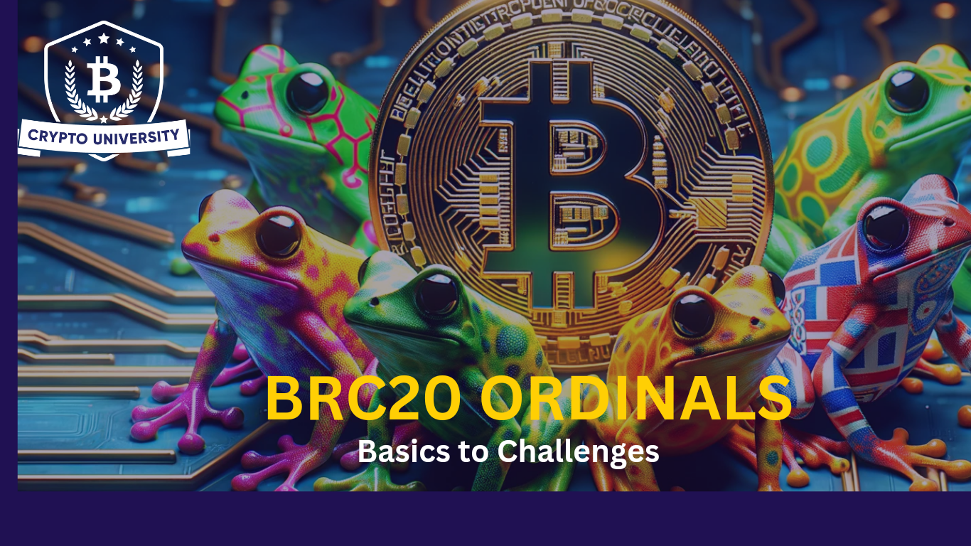 BRC20 ORDINALS: FROM BASICS TO MINTING, TRADING AND CHALLENGES. | Crypto University