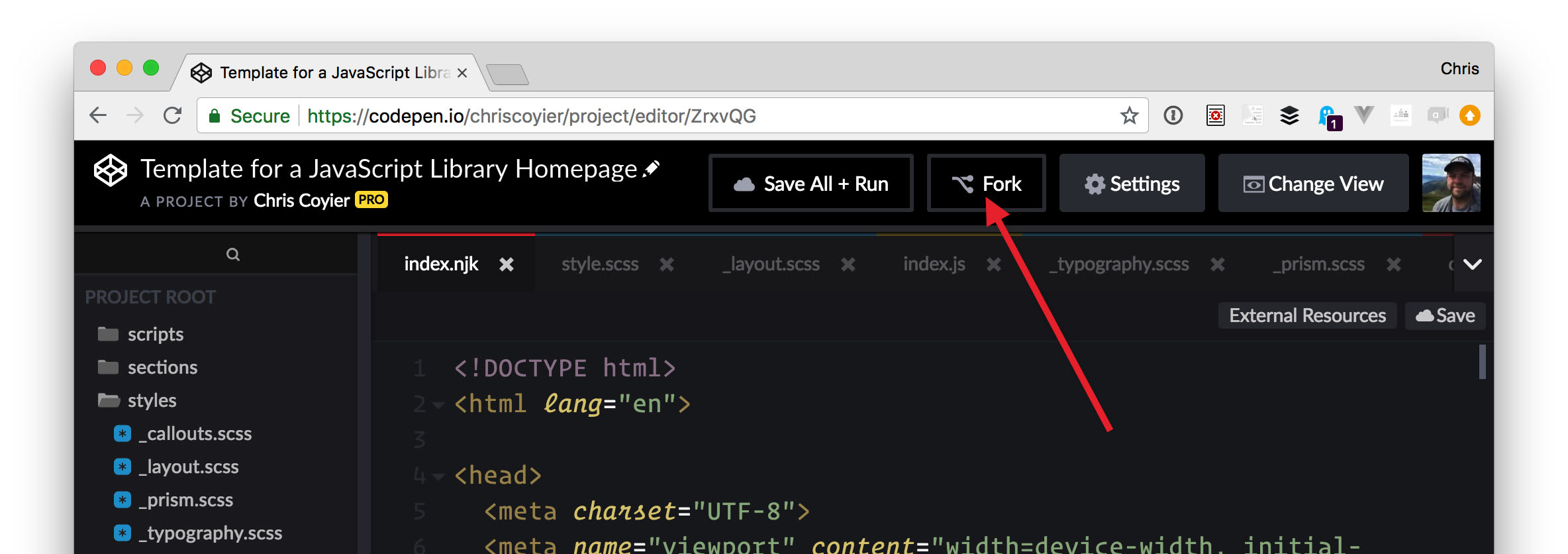 A Free Template for JavaScript Library Homepages - CodePen Blog
