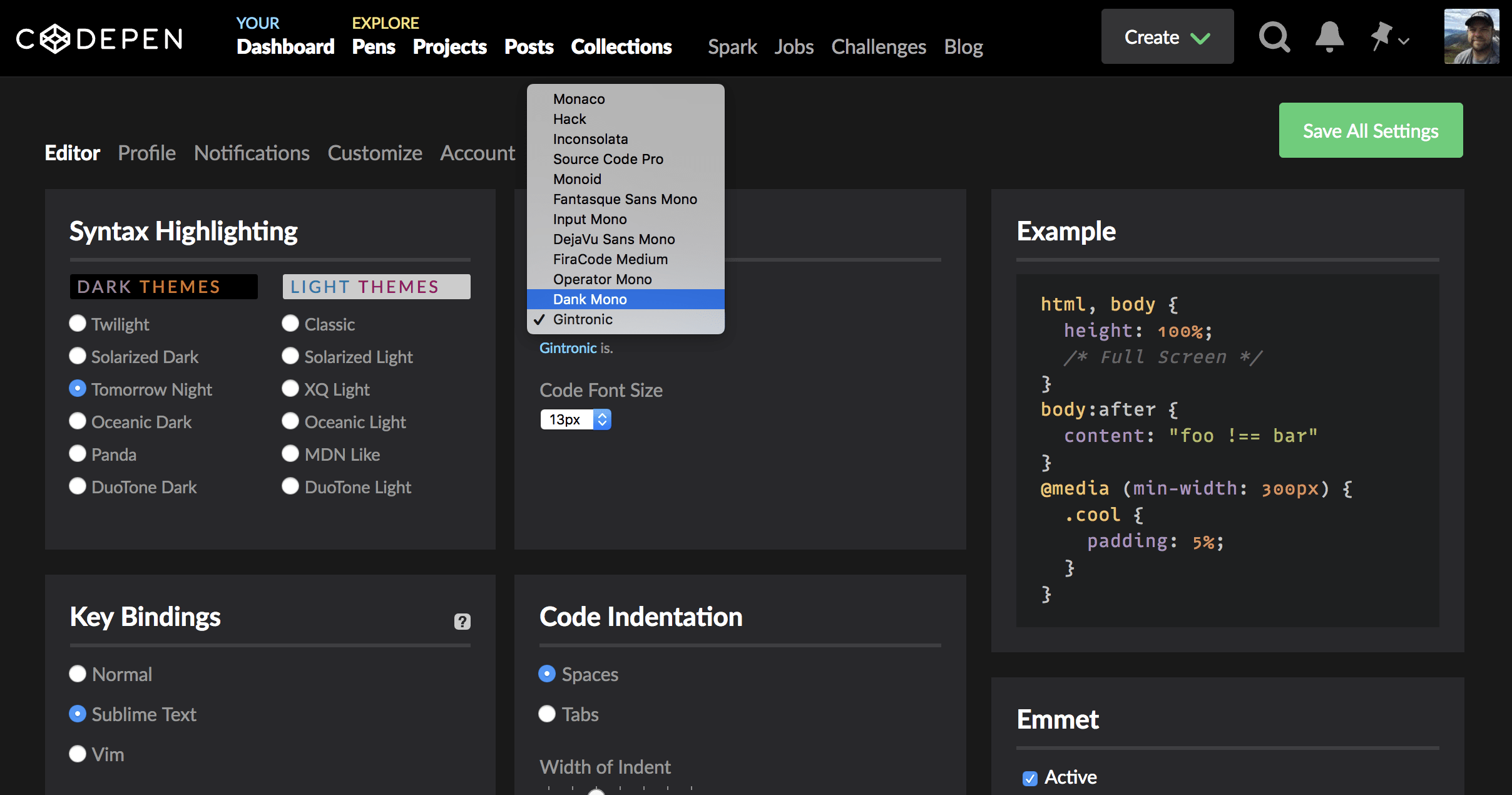 New Coding Fonts: Dank Mono and Gintronic - CodePen Blog