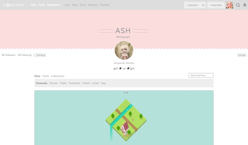 Sweet Custom Profiles - CodePen Blog