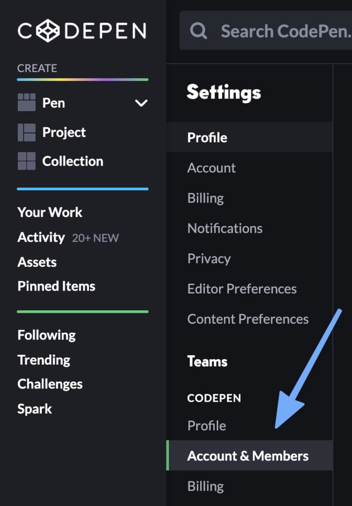 Team Management - CodePen Blog