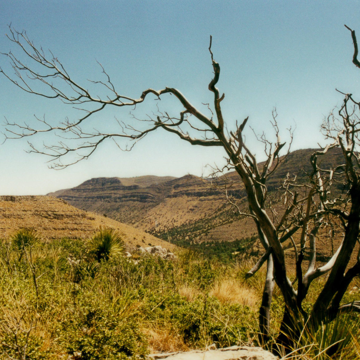 A Slice of the Rockies in Texas? Exploring Guadalupe Mountains Nati ...