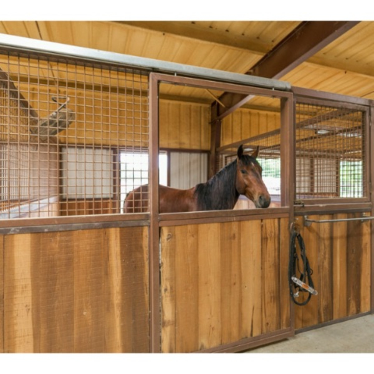 Ex-MLB star pitches sprawling Dallas-area horse ranch on the market ...