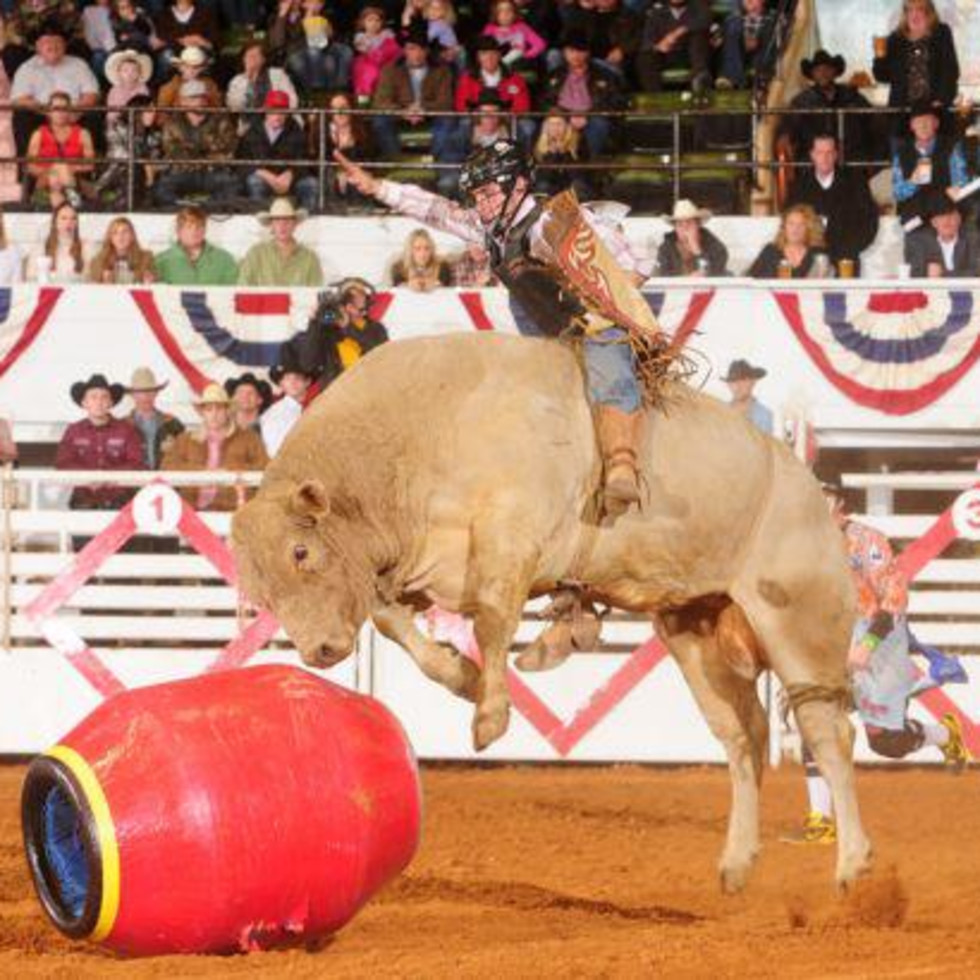 West Side Story and the Fort Worth Stock Show top the best events i ...