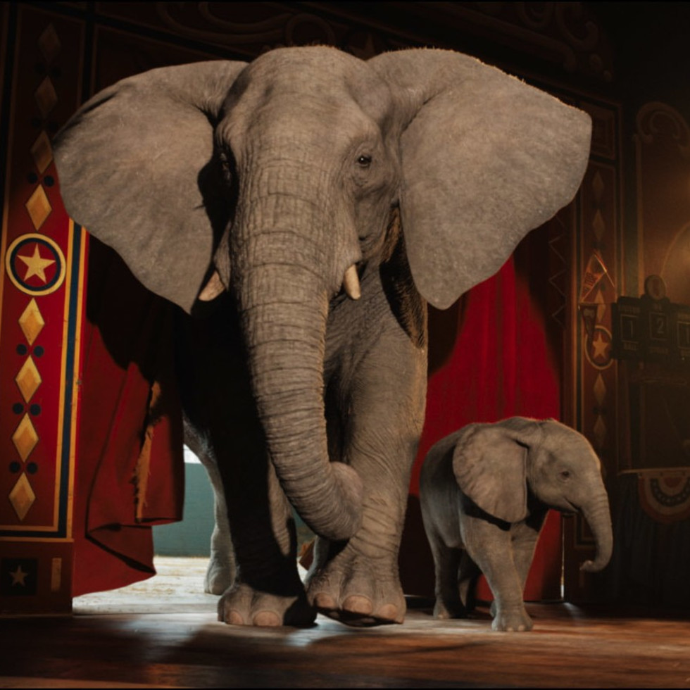 Cute animals wish for a different life in The One and Only Ivan ...