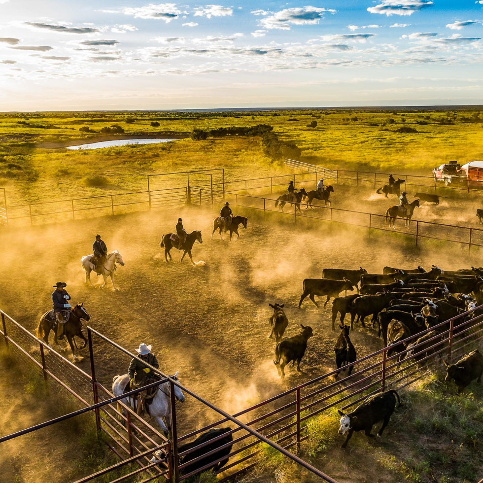 Fort Worth heiress' legendary 6666 Ranch seen on Yellowstone is sold ...
