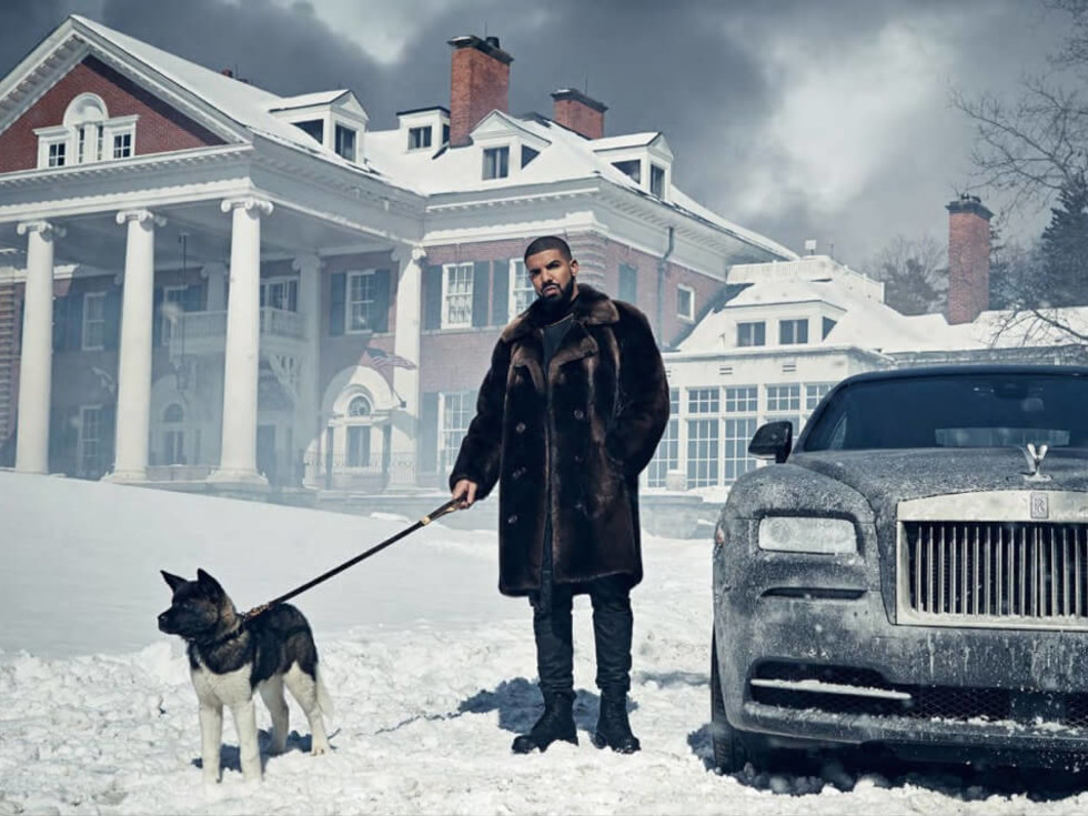 Drake's Akita, Diamond, gets gold standard treatment at tony pet salon ...