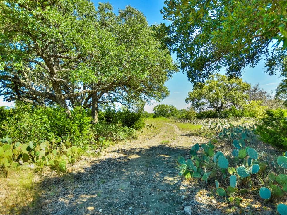 Live out your ranching fantasies on these 74 acres an hour from Austin ...