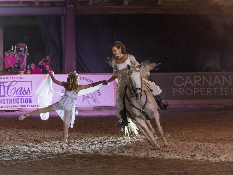 Haras Cup delivers three days of horsemanship and entertainment ...