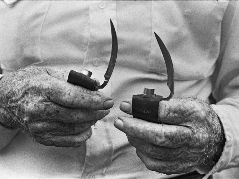 Famous Dallas photographer uncovers soulfulness of American West ...