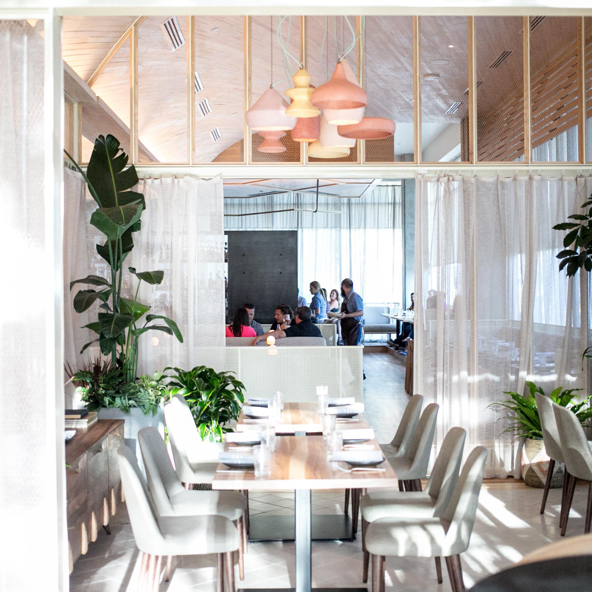 Downtown Austin's newest restaurant wows with innovative Mexican food ...