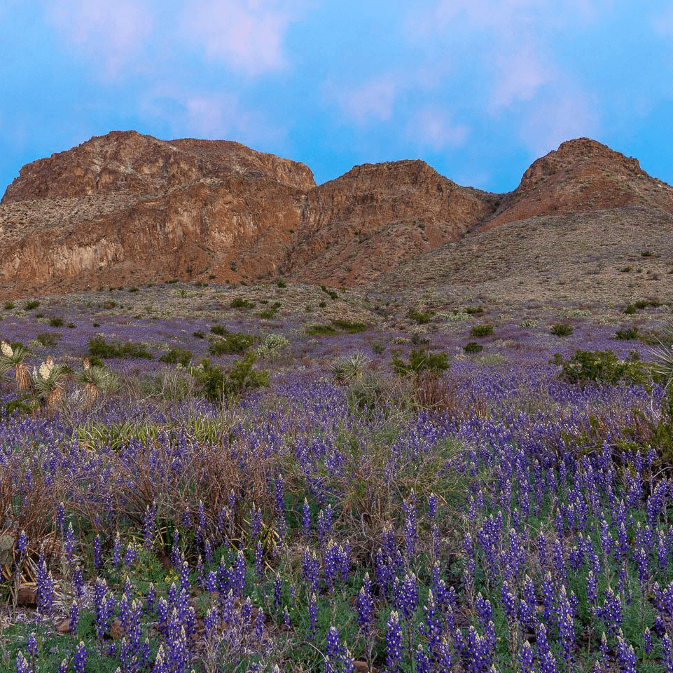 The 5 best Texas state parks to visit in 2017 - CultureMap Austin
