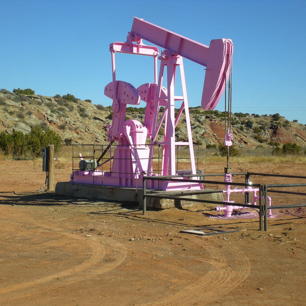The Pink Well Challenge: Sue and Lester Smith offer $1 million in g ...