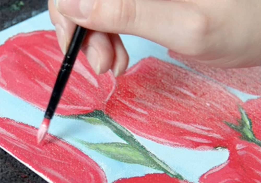 Tulip Fields - Cupixel