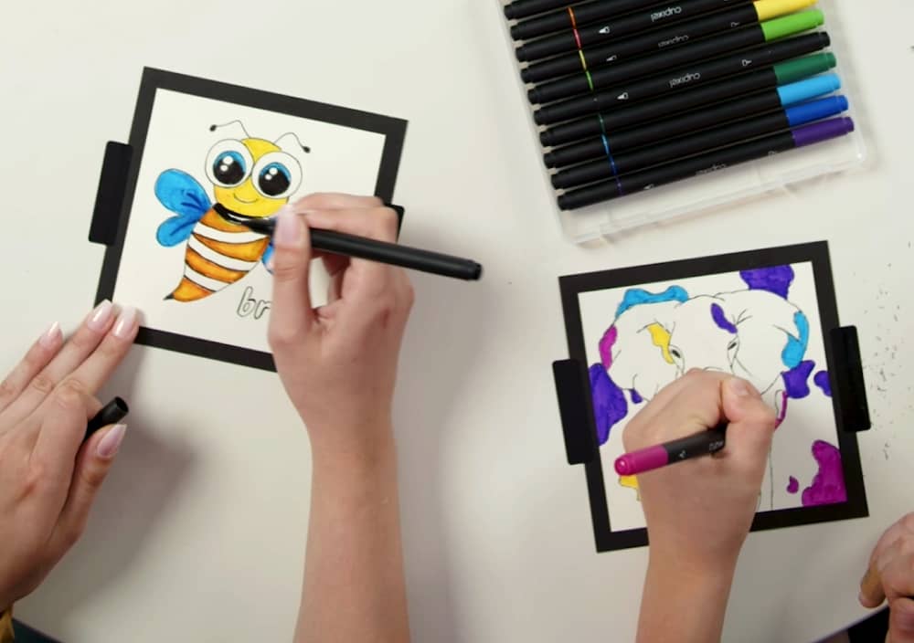 Cupixel Zoo - Cupixel